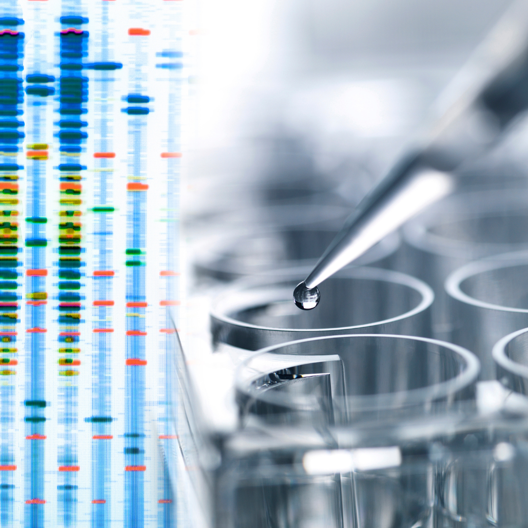 Test geneticos adultos - Precision Health